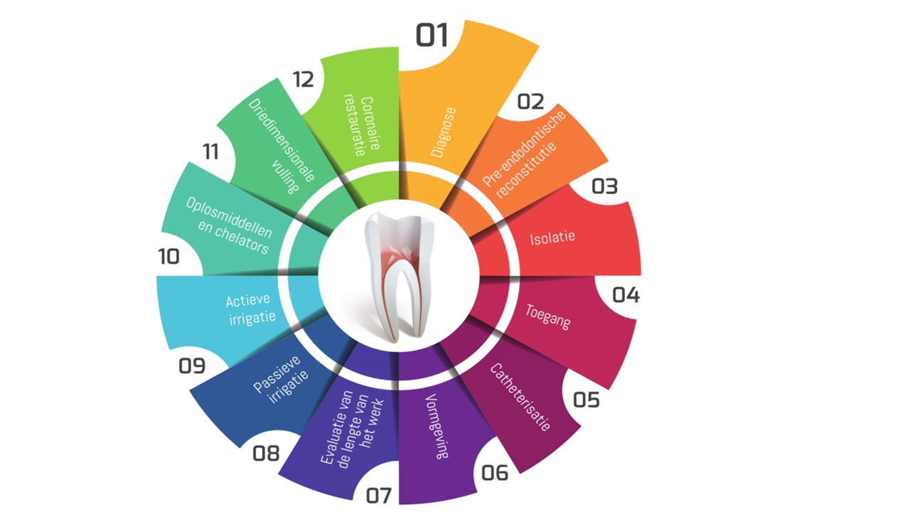 Decouvrez notre guide Endo!